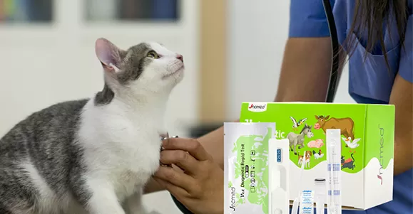 FHV Feline Herpesvirus Test Wholesale Supplier | JCMED