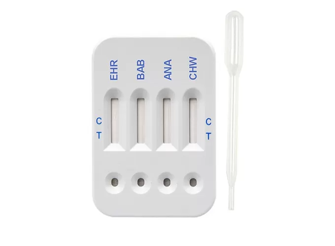 Ehrlichia EHR Test Wholesale Supplier | JCMED